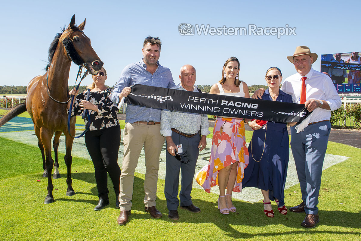 Harness Clubs : Gannon's Presentation Sash